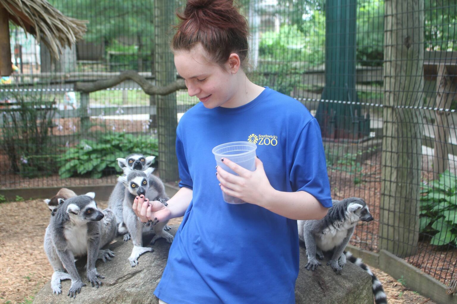 Animal Behavior