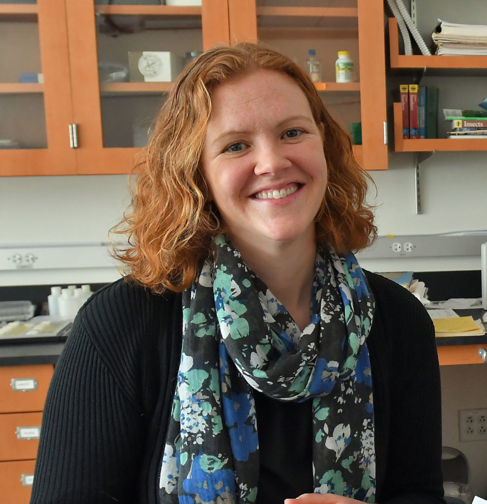 Professor leads national grant program - Wheaton College Massachusetts