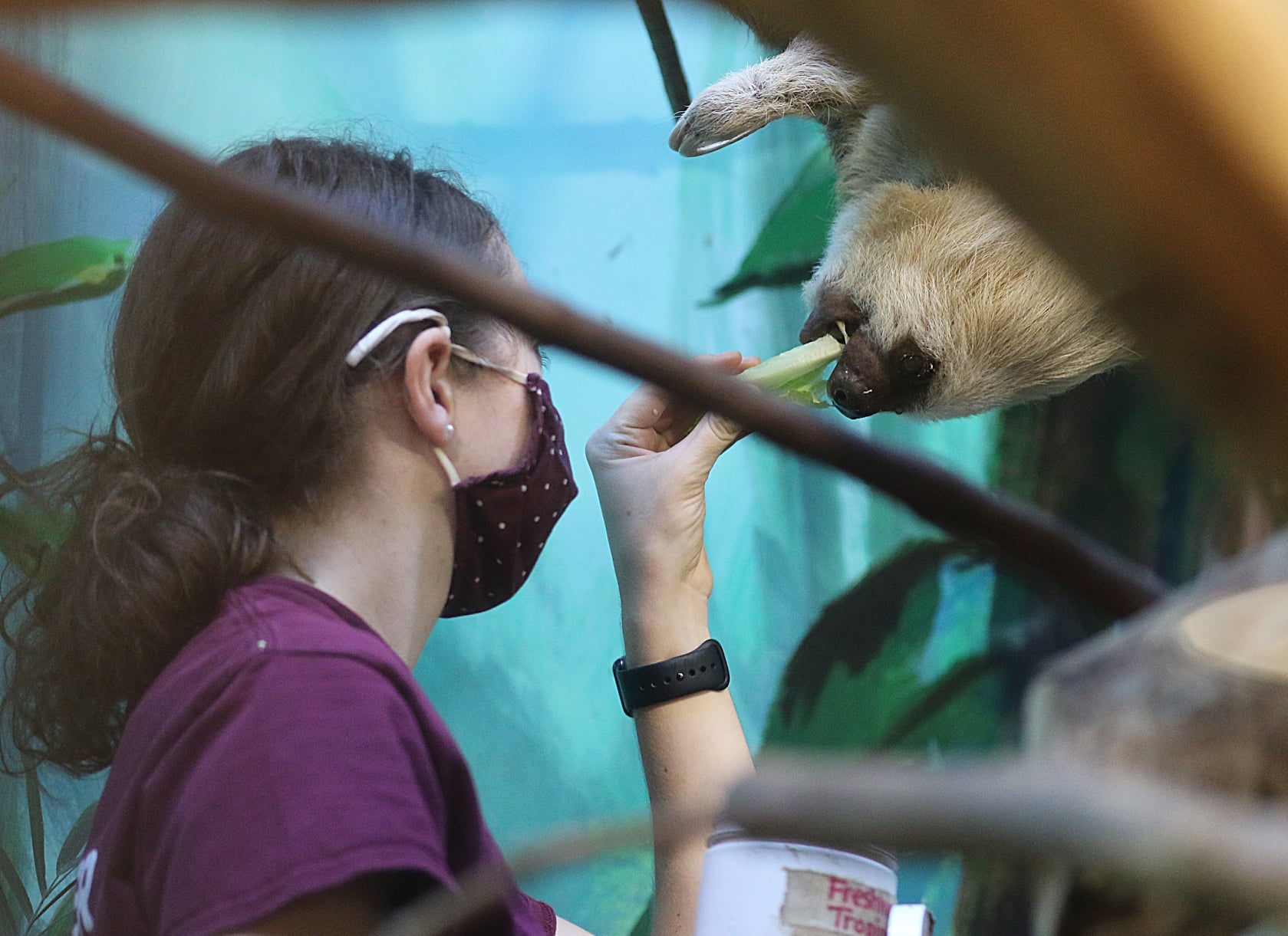 Life as a zookeeper - Wheaton College Massachusetts