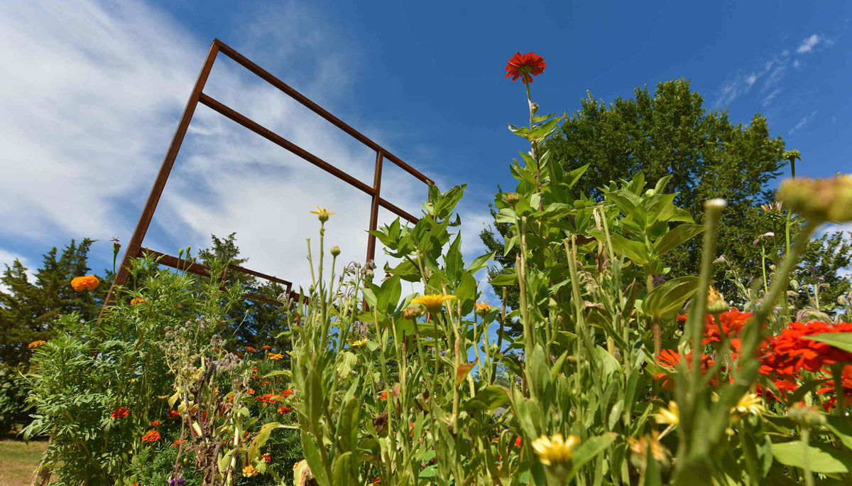 Garden cultivates connections with incarcerated - Wheaton College ...