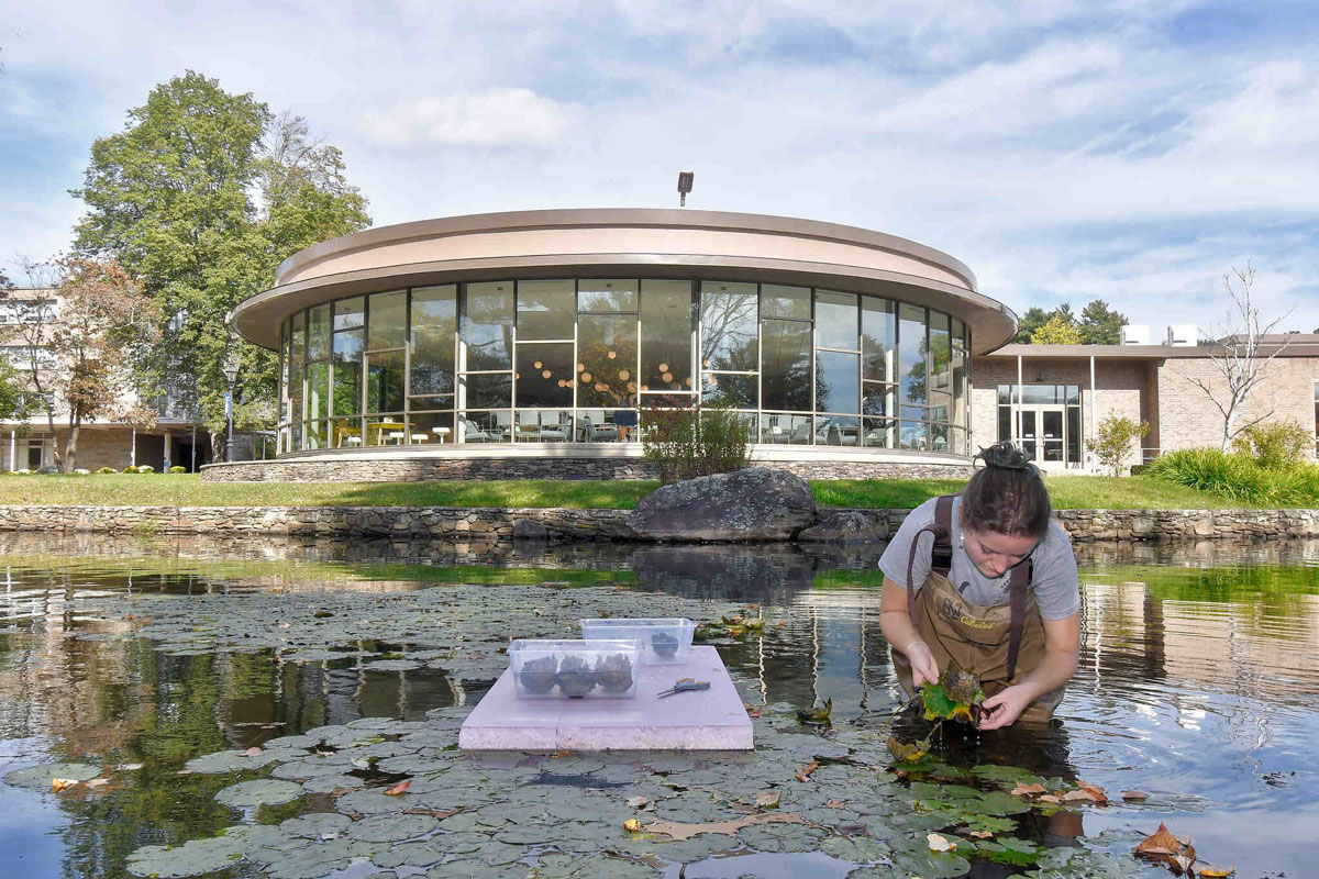 Environmental Science Major - Wheaton College - Massachusetts
