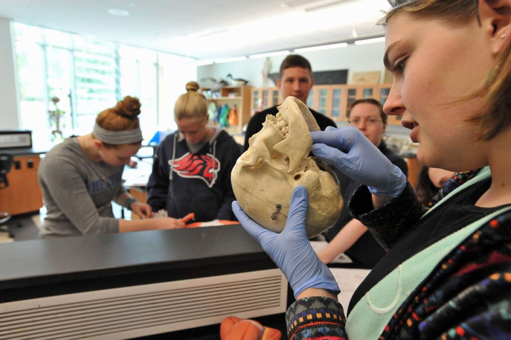 Wheaton launches new majors in forensic science and medical science ...